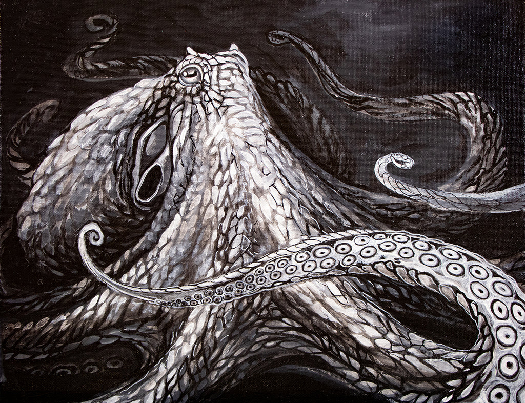 Octopus II – Kelly of the Wild